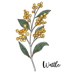 Wattle Design – Paper Go Round