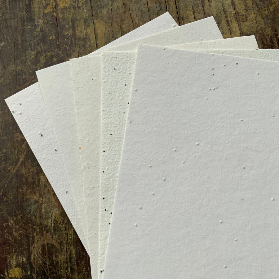 Paper-Go-Round Australia's source of Handmade Seed Paper – Paper Go Round