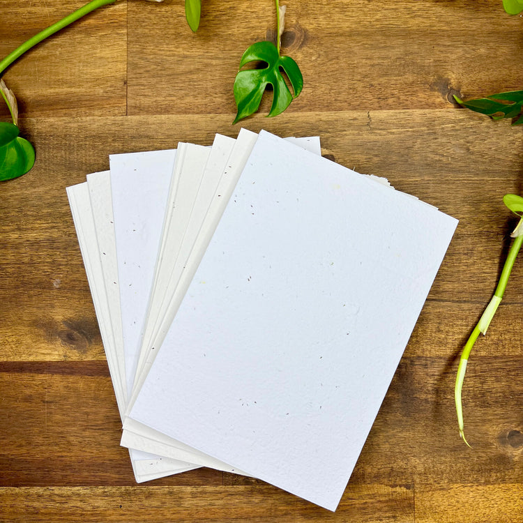 Paper-Go-Round Australia's source of Seed Paper and Plantable Cards ...