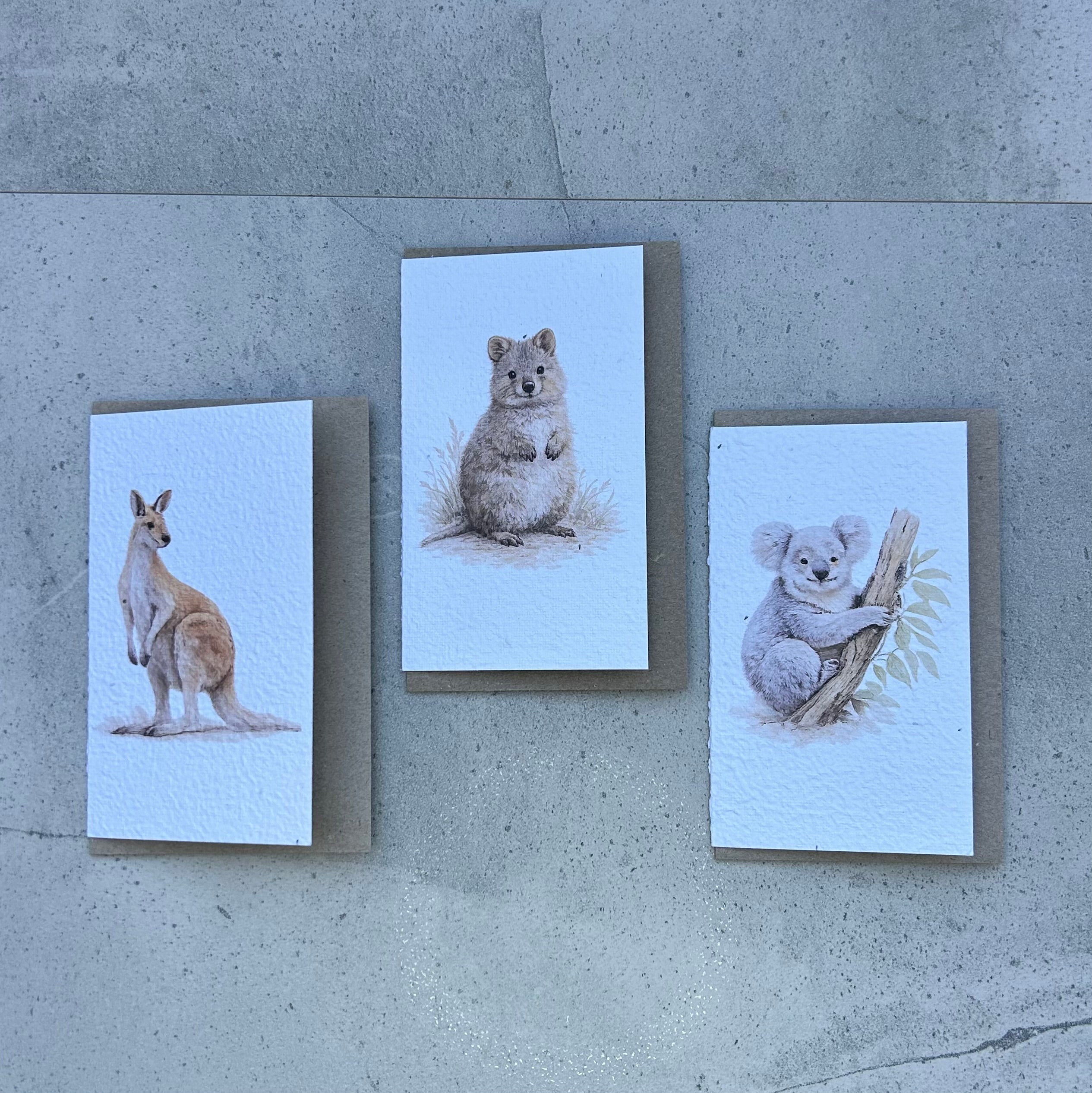 Aussie Animals All-Occasion Card Bundle (3 Pack) – Paper Go Round