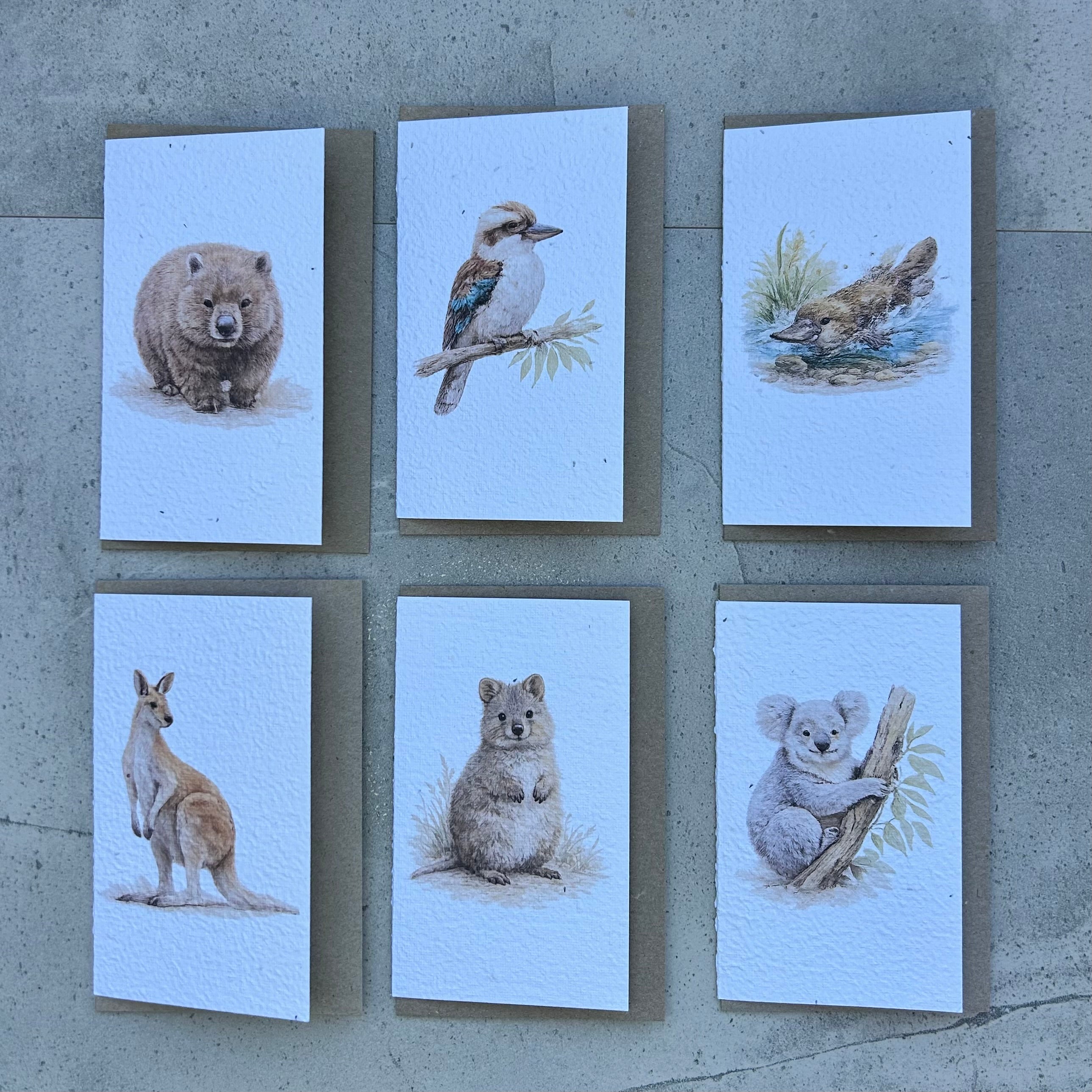 Aussie Animals All-Occasion Card Bundle (6 Pack) – Paper Go Round